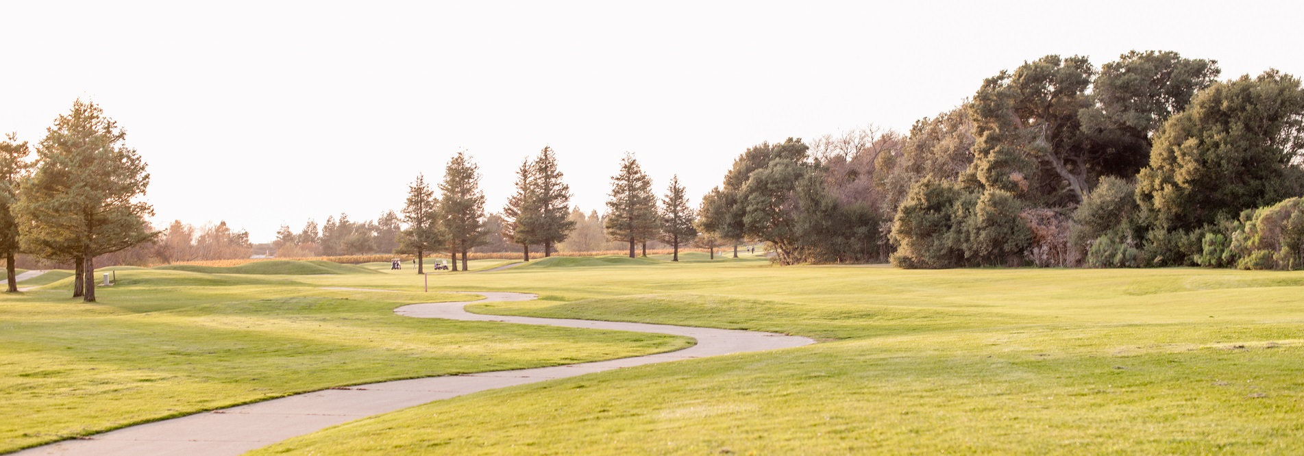 Home - Eagle Vines Golf Club