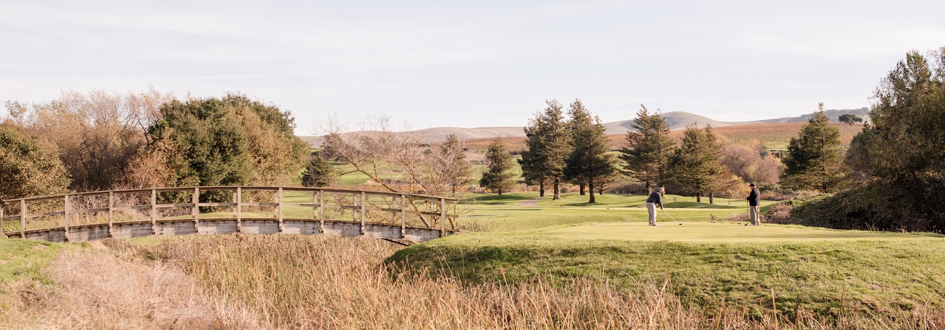 Home - Eagle Vines Golf Club