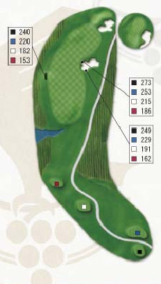 Course Tour - Eagle Vines Golf Club